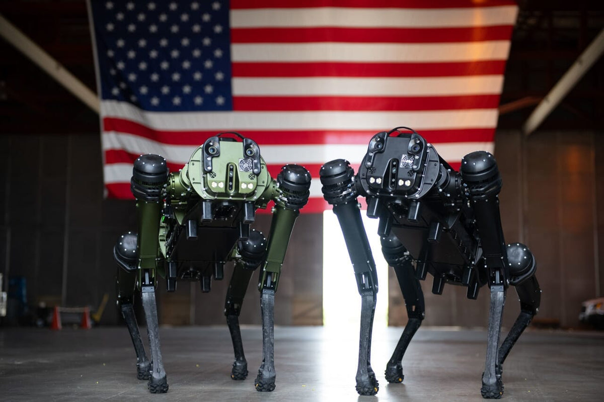 Military Robot Dogs Now Being Used by the U.S. Space Force – USAMM