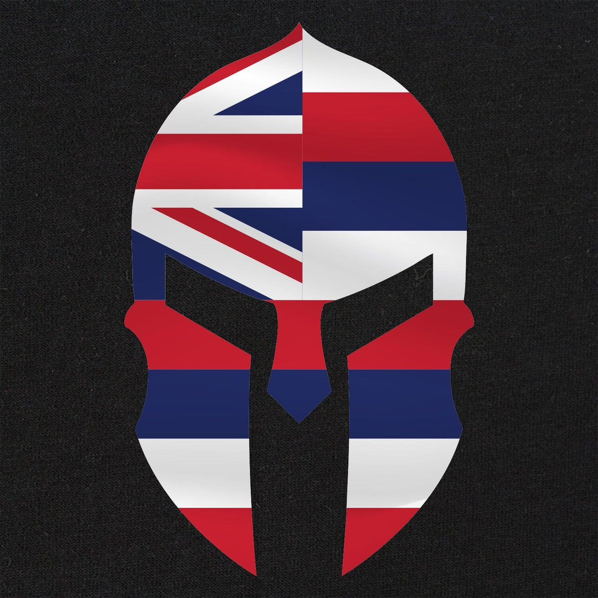 Hawaii Spartan T-Shirt – USAMM