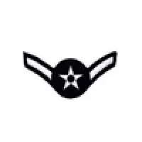 Air Force Full Color Enlisted Rank - Large Size | USAMM