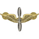 Army Aviation Branch Insignia – USAMM