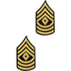 Army Dress Blue (Gold on Blue) Enlisted Rank - Male Size – USAMM