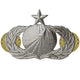 Acquisition and Financial Management Badge – USAMM