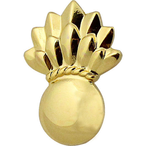 Navy Ordnance Technician Collar Device | USAMM