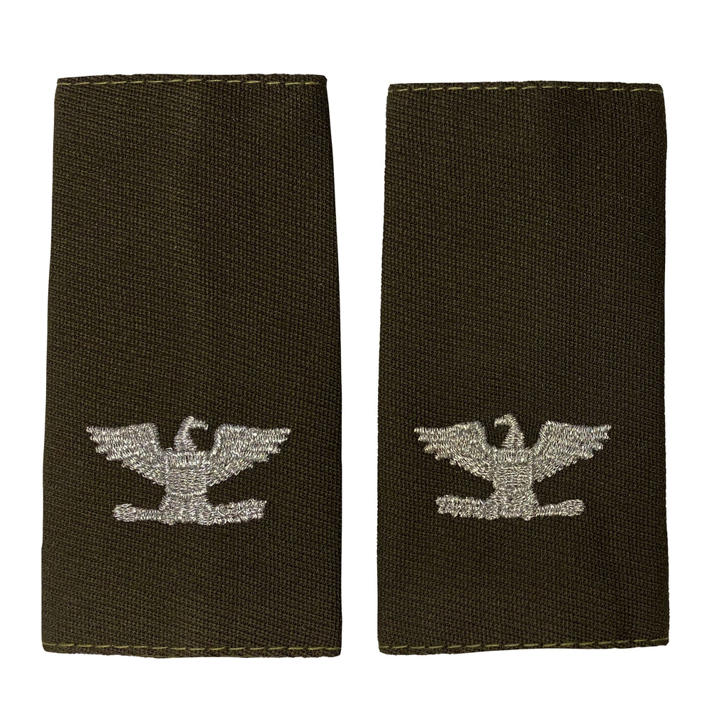 AGSU Epaulets - Enlisted and Officer | USAMM