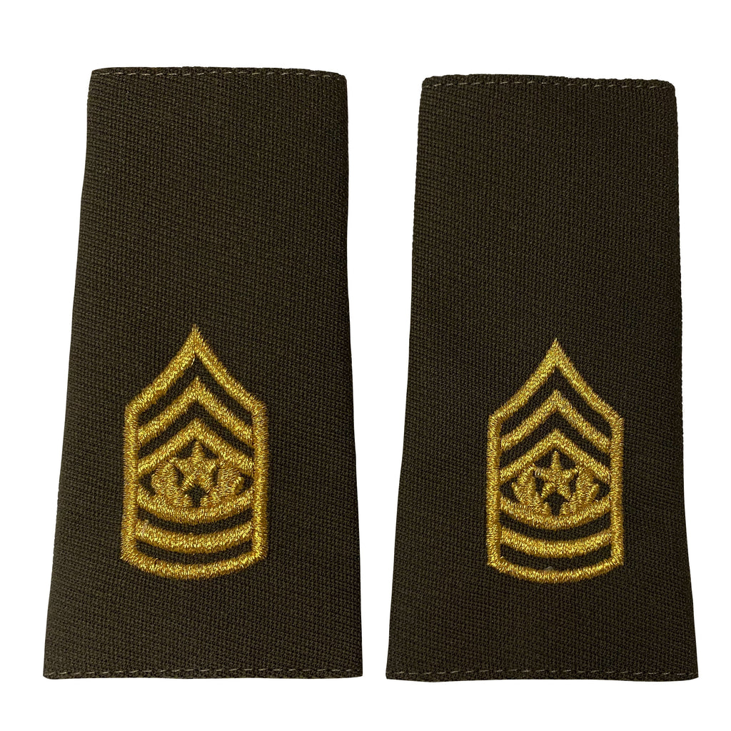 AGSU Epaulets - Enlisted and Officer | USAMM