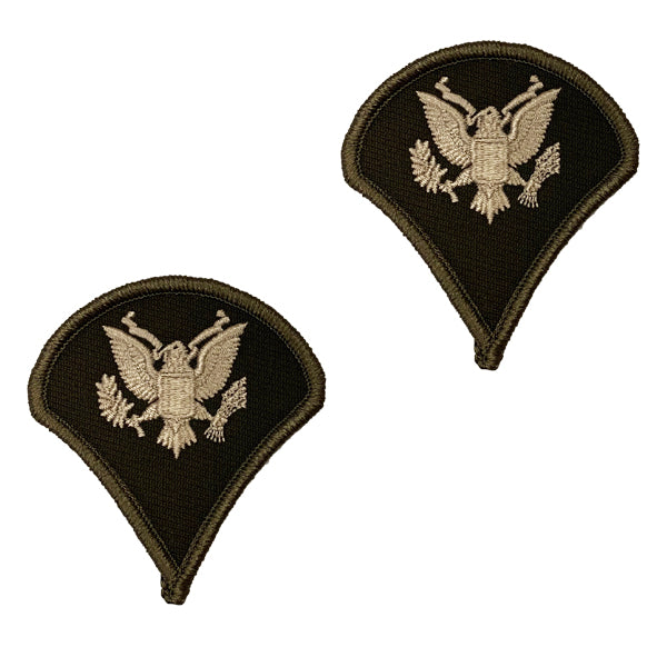 Army Green Service Uniform (AGSU) Enlisted Rank | USAMM