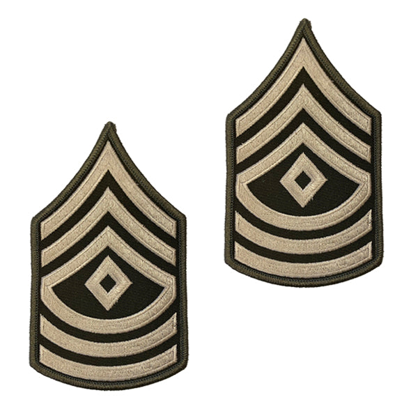 Army Green Service Uniform (AGSU) Enlisted Rank | USAMM