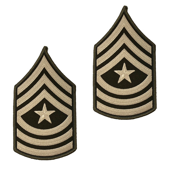 Army Green Service Uniform (AGSU) Enlisted Rank | USAMM