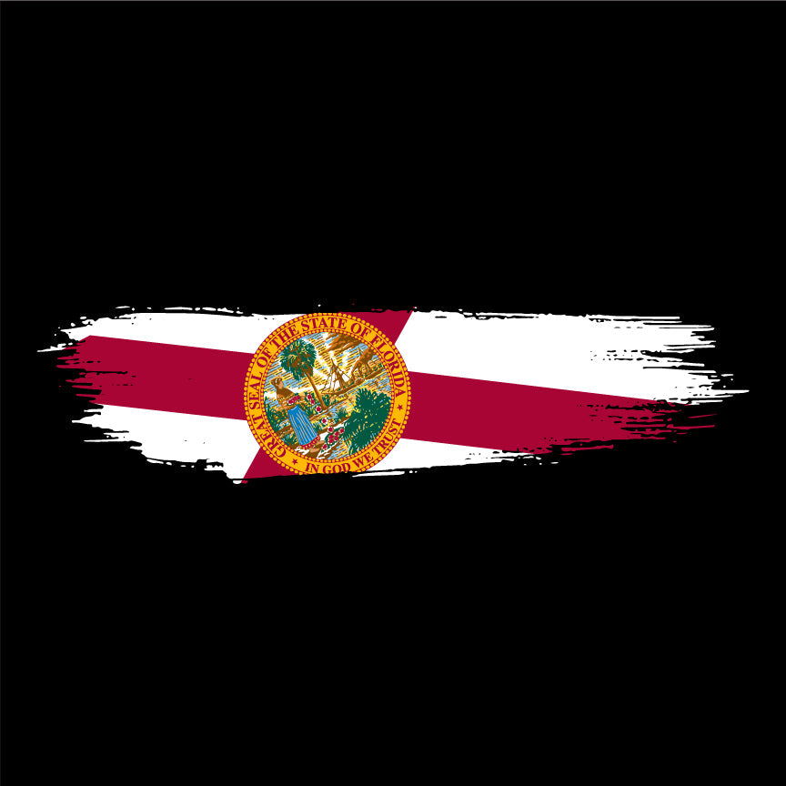 Skinny Horizontal Paint Swatch Florida Flag Tshirt – USAMM
