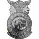 Air Force Fire Protection Badge – USAMM