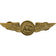 Navy Aircrew Insignia – USAMM
