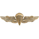 Navy and Marine Corps Parachutist Insignia – USAMM