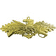 Navy Seabee Combat Warfare Specialist Insignia | USAMM