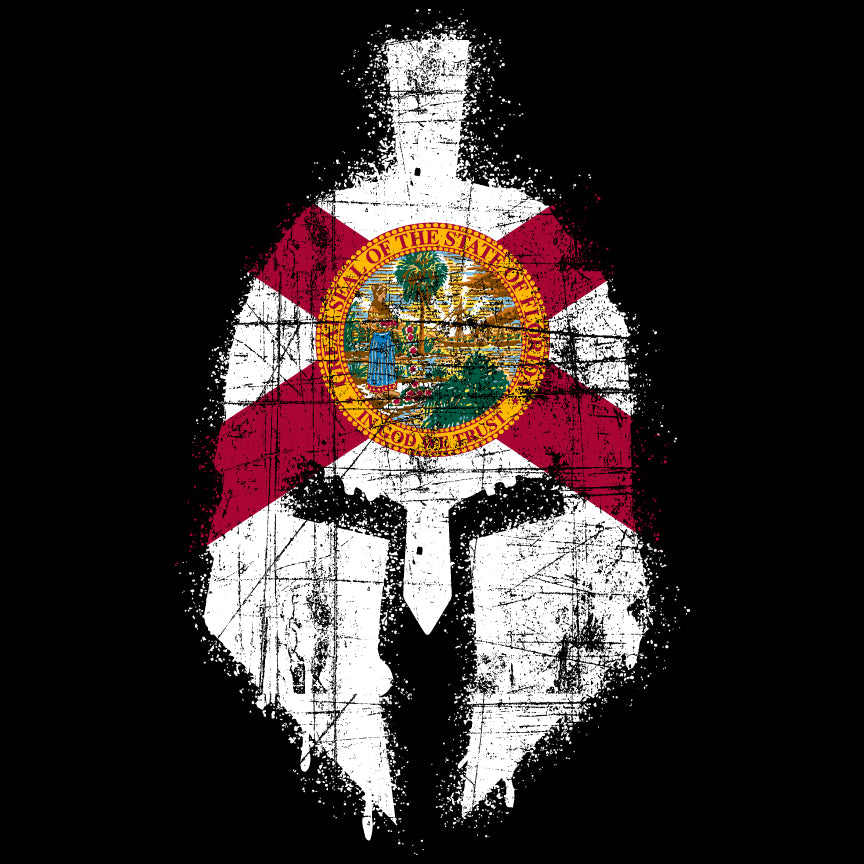 Spartan Helmet Florida Flag Distressed T-Shirt – USAMM