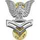 Navy Collar Insignia Rank - Single – USAMM